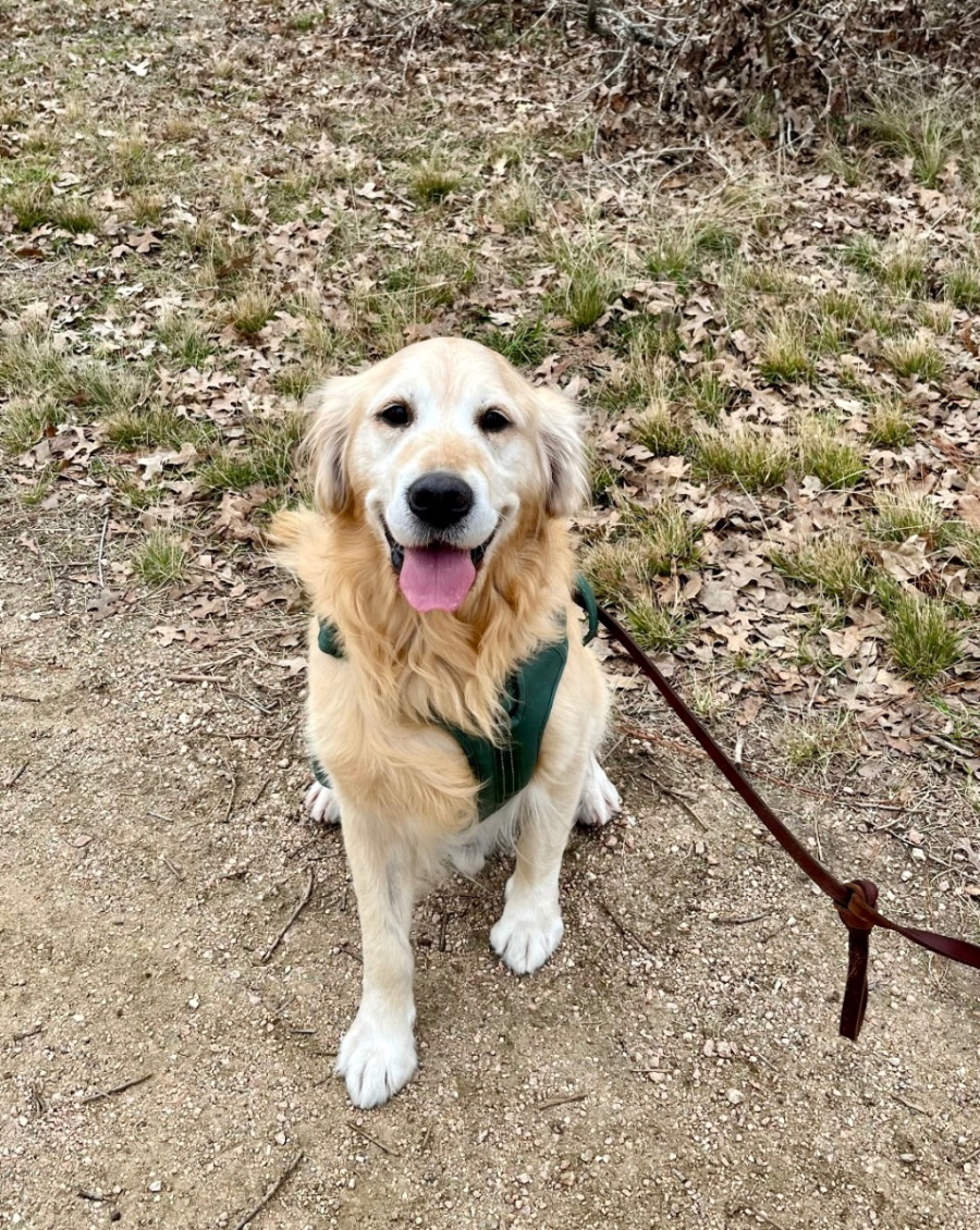 Mac - Adopted Goldens - - Adopted Goldens